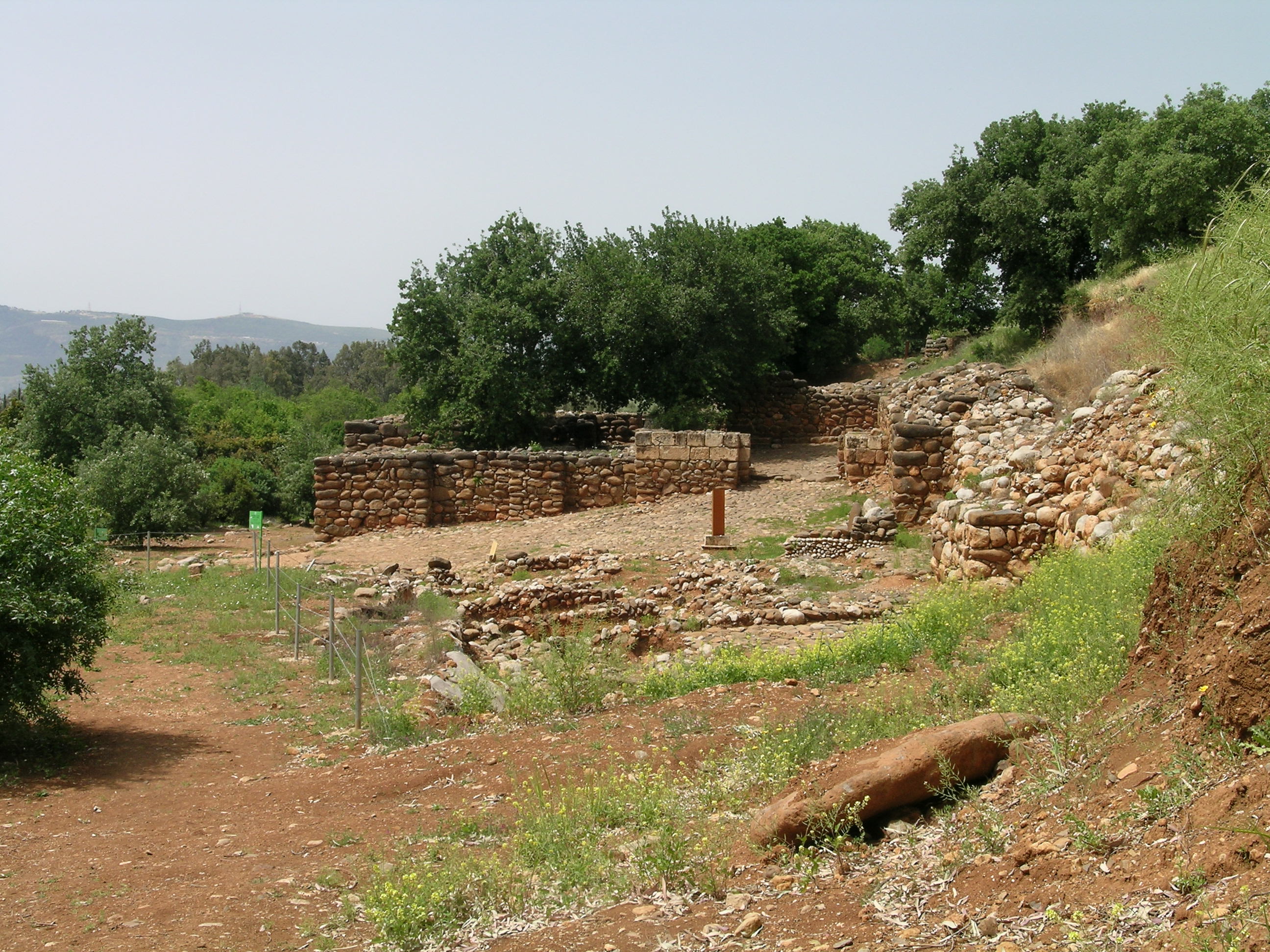 Tel Dan (Part 1): An Archaeological Gem • Bible Study With Randy