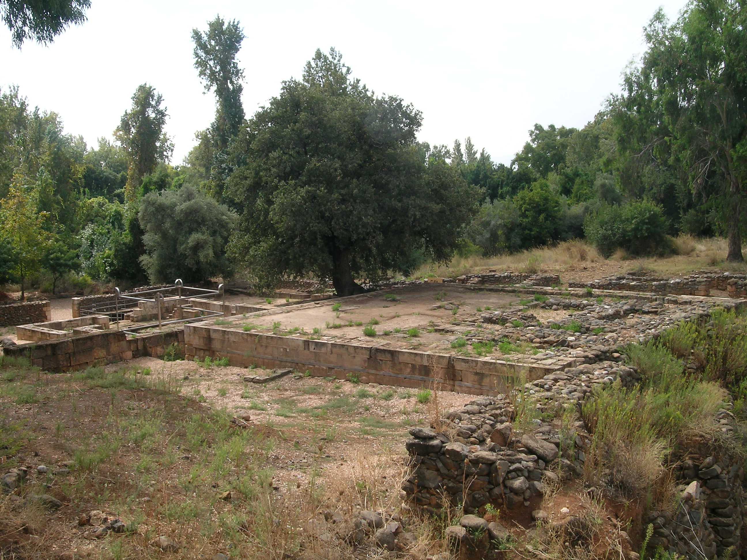 Tel Dan (Part 1): An Archaeological Gem • Bible Study With Randy